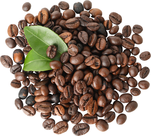 Goldstruck Coffee Toronto – Premium Coffee & Café Experience